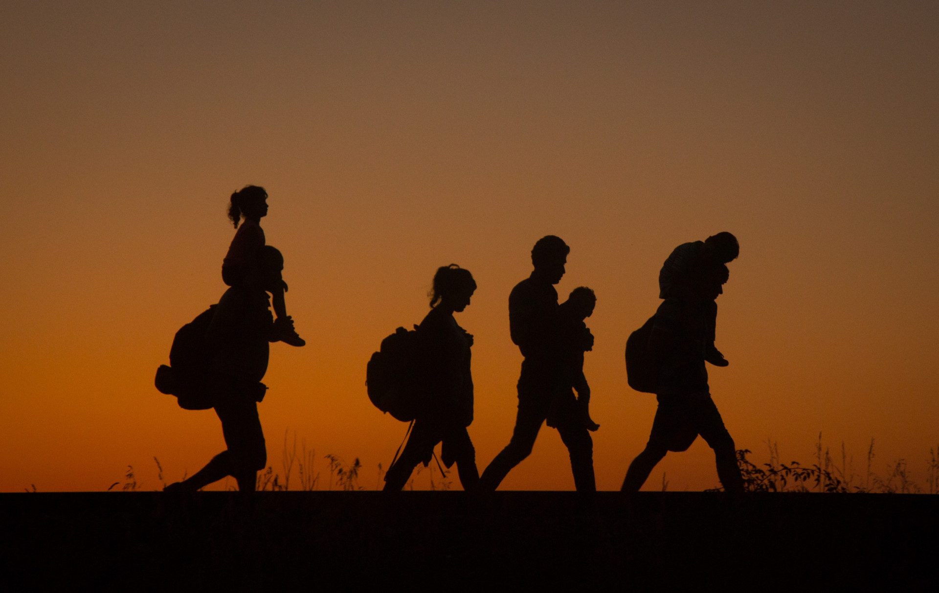 These are the biggest migration routes in the world