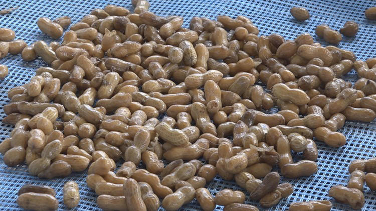 Hey goober! Fall festivals and food fill up this weekend's calendar of ...