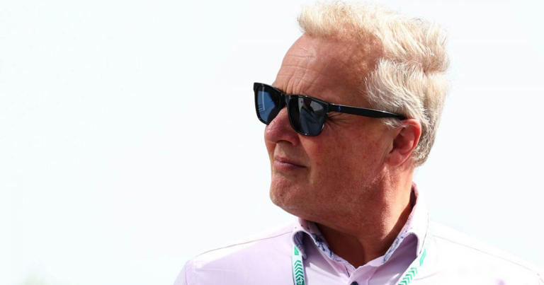 Johnny Herbert issues statement after FIA steward role removal