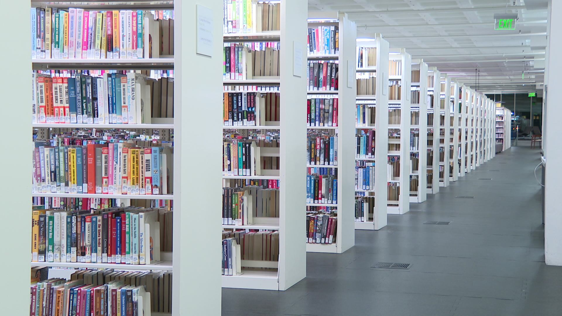 Madison libraries and museums face funding cuts, leaders urge support