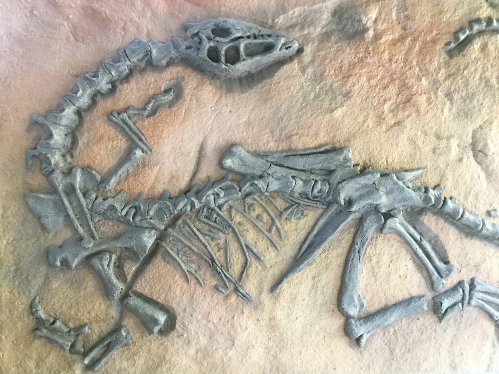 13 Dinosaur “Facts” Scientists Wish You’d Stop Believing