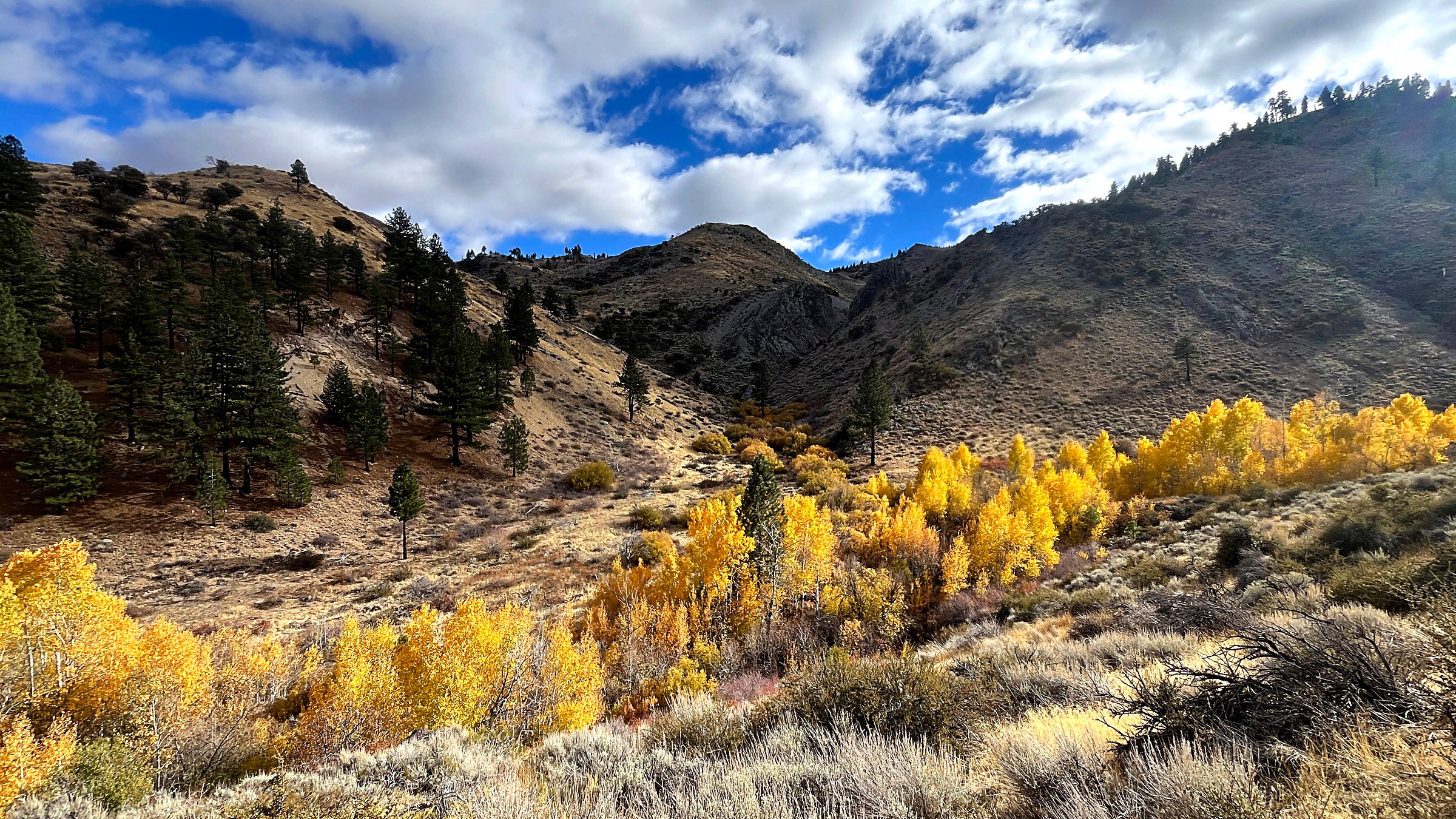 What date will autumn start? A look at when daylight saving time ends ...