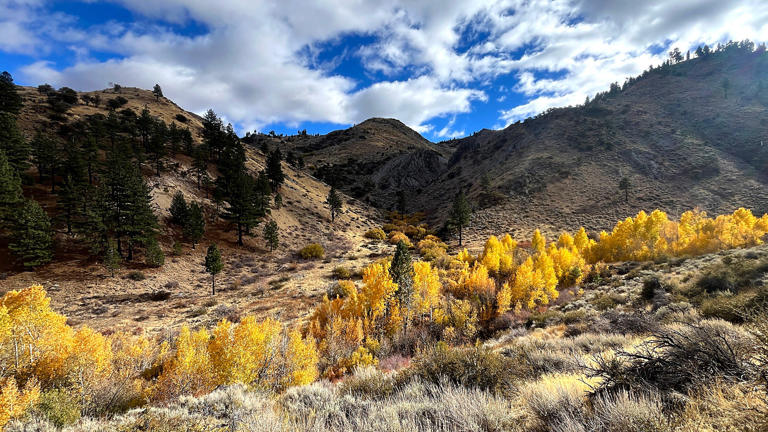 What date will autumn start? A look at when daylight saving time ends ...