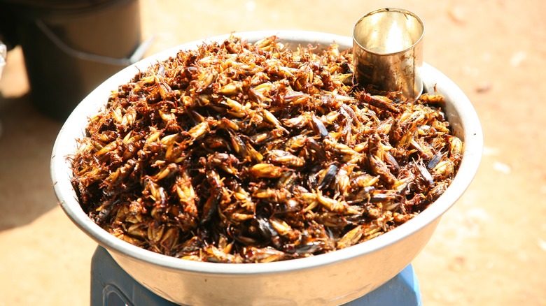 12 Most Nutritious Bugs You Might Actually Want To Cook With
