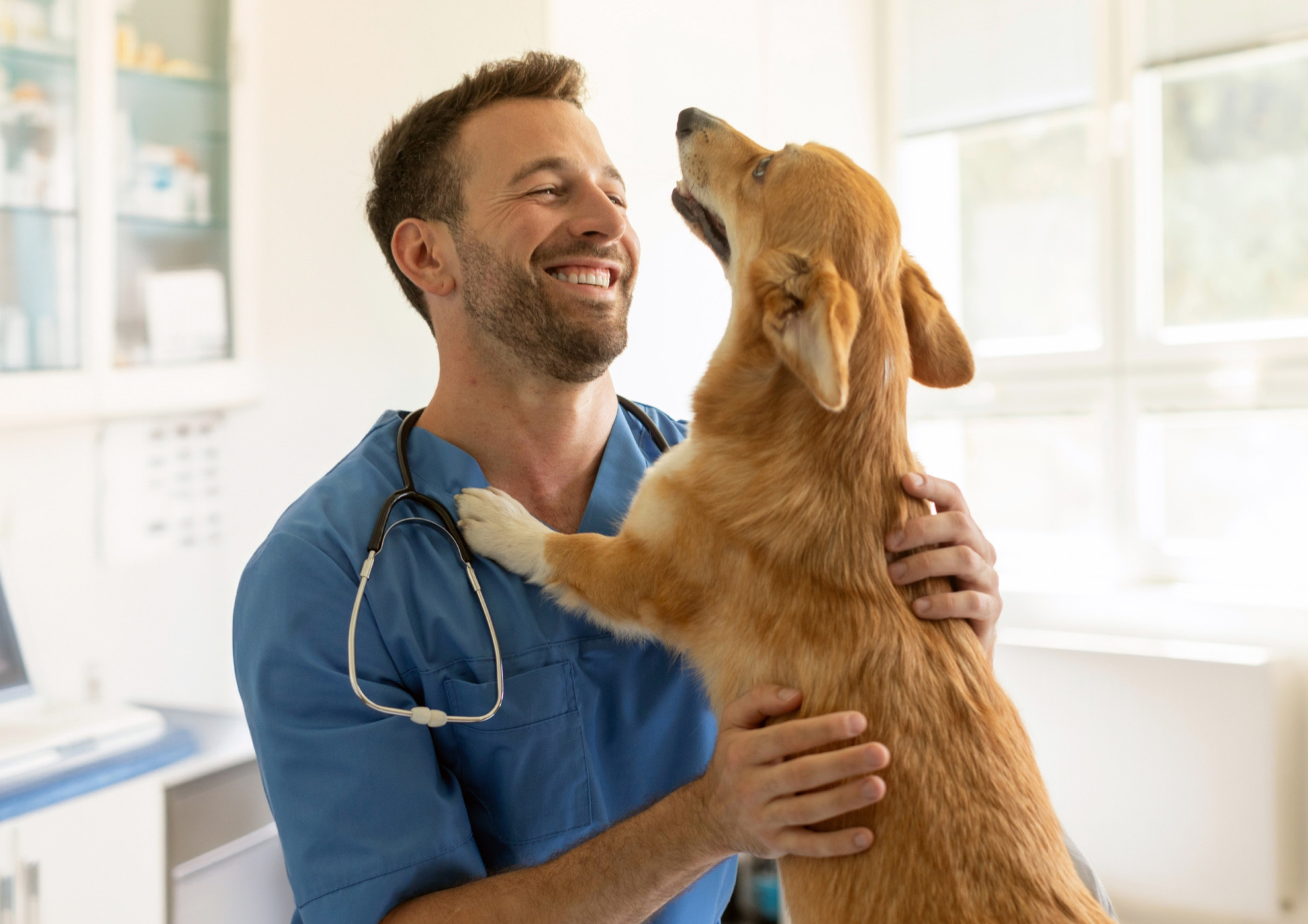 La médecine vétérinaire et son évolution pionnière