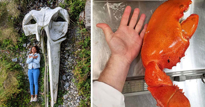 39 Of The Most Interesting Comparison Images (New Pics)