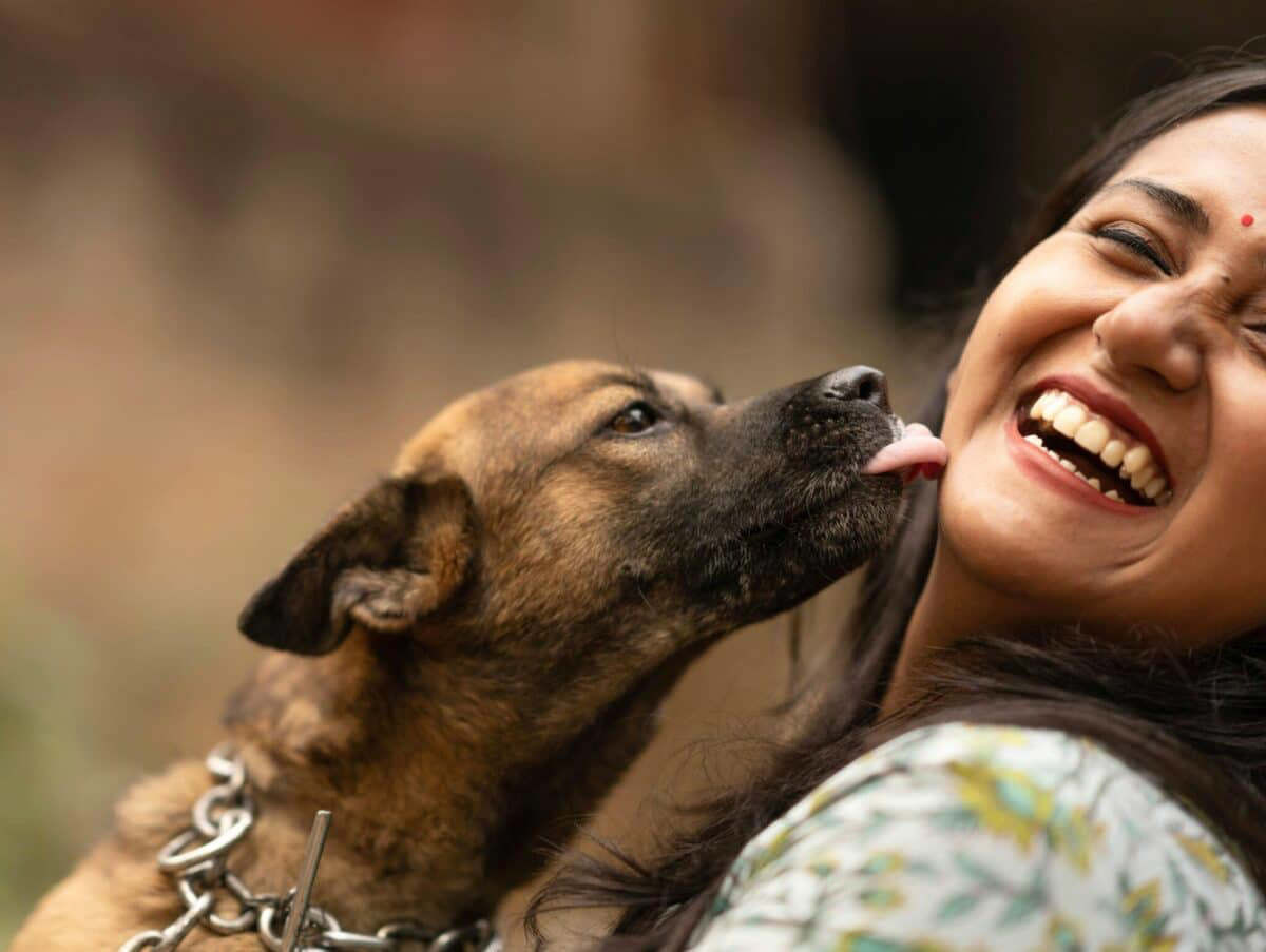 17 Ways Dogs Communicate Through Body Language 17 Ways Dogs Communicate Through Body Language