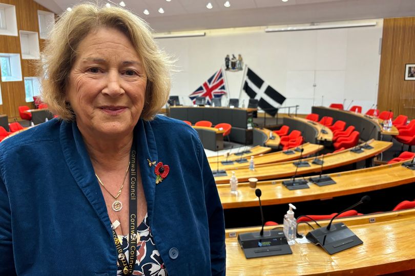 Cornwall Council elections 2025: The Conservatives on why you should vote for them on May 1