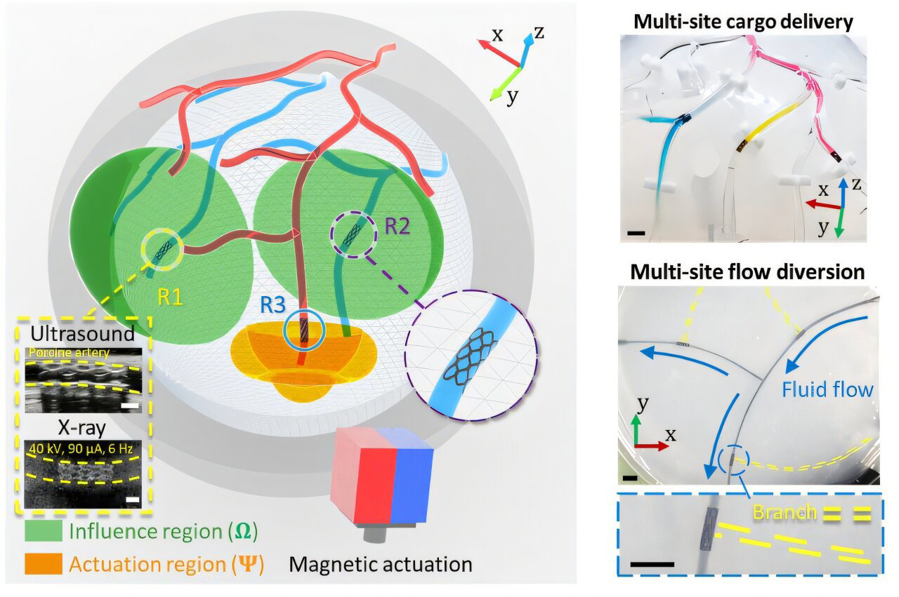 3D robot navigation could enable multi-site medical procedures 3D robot navigation could enable multi-site medical procedures