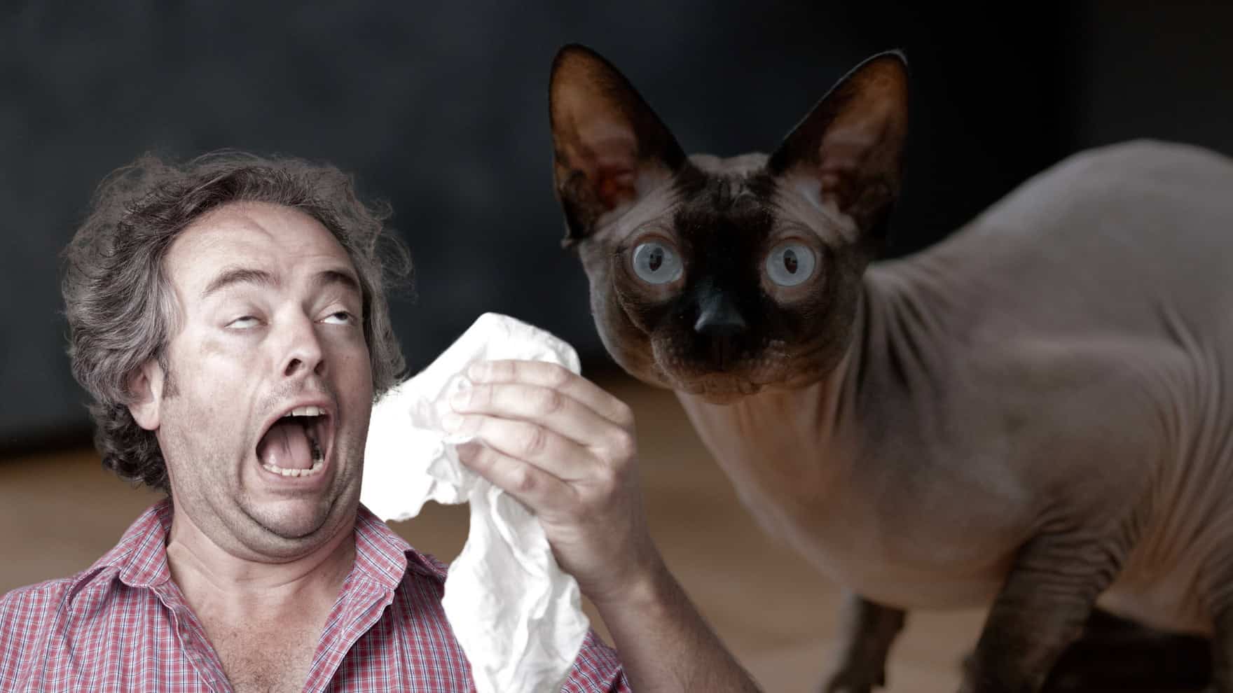 The 17 Pets Best Suited for Allergy Sufferers