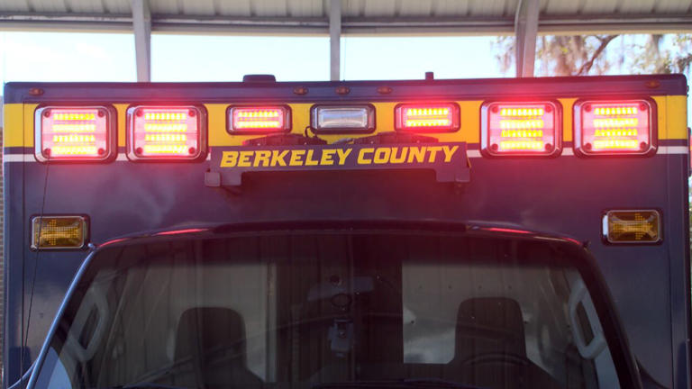 Berkeley County deputies investigating possible murder-suicide
