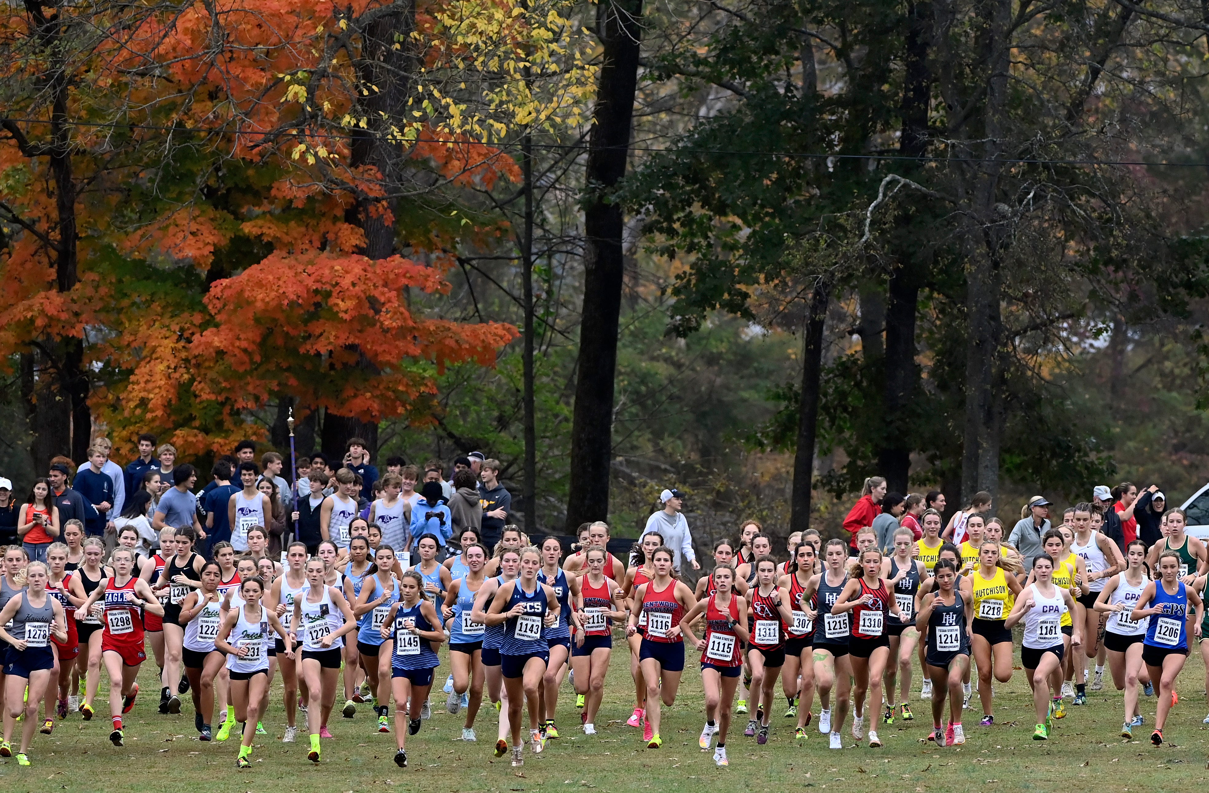 TSSAA state cross-country tickets, top runners, stories to watch at ...
