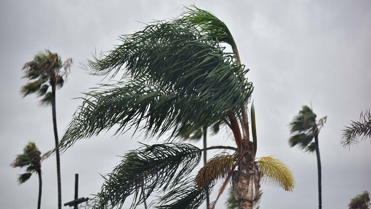 Shutoffs Continue for Some SDG&E Customers with Crews Set to Assess ... Shutoffs Continue for Some SDG&E Customers with Crews Set to Assess ...