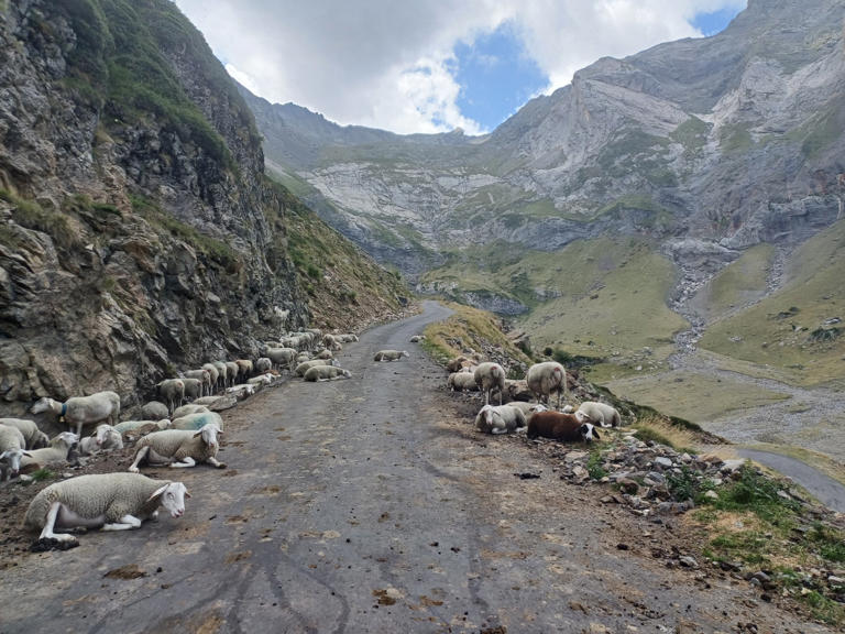 Marco en Sabine lieten alles achter en leven nu in gele zeecontainer ...