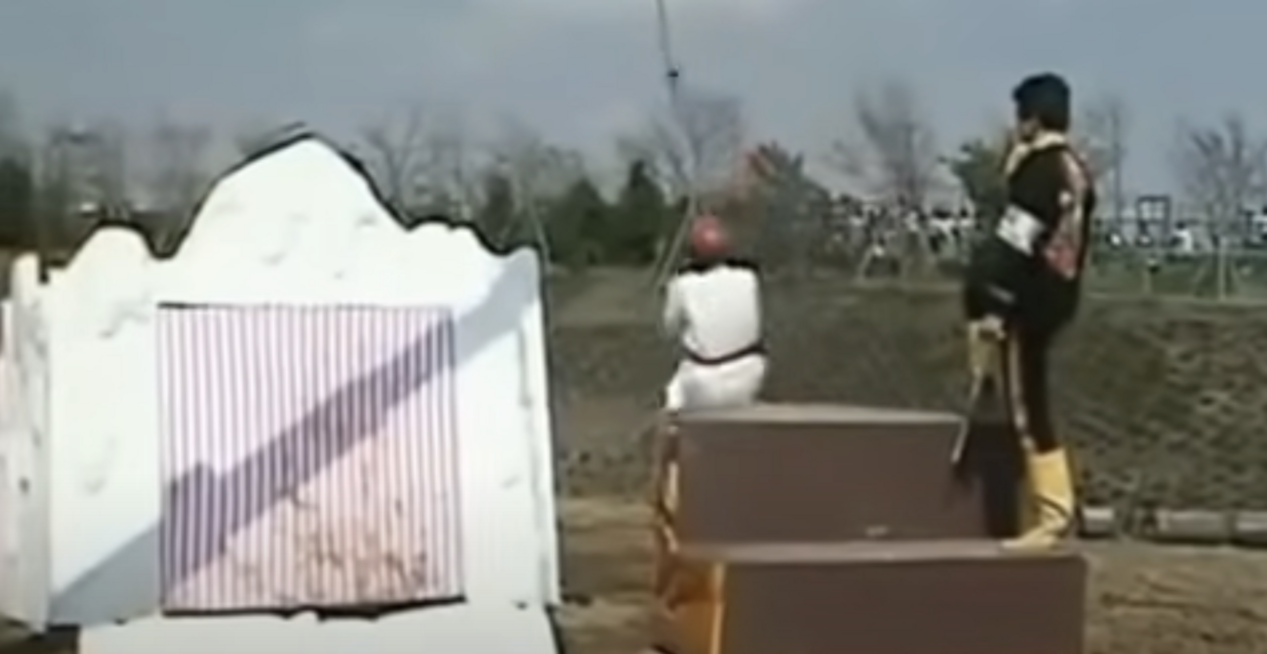 20 weird game shows you forgot existed