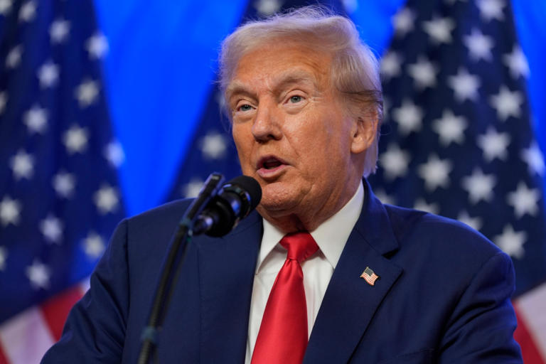 Los planes de deportaciones masivas de Trump «devastarían» la economía ... Los planes de deportaciones masivas de Trump «devastarían» la economía ...