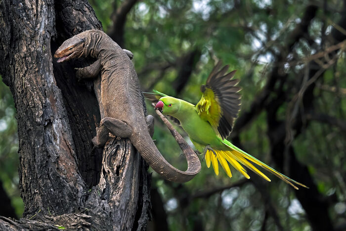 33 Photographs Showcasing Life and Nature's Beauty