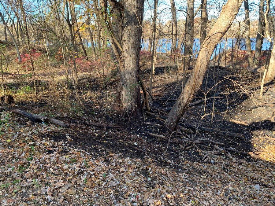 East Windsor fire crews extinguish morning brush fire East Windsor fire crews extinguish morning brush fire