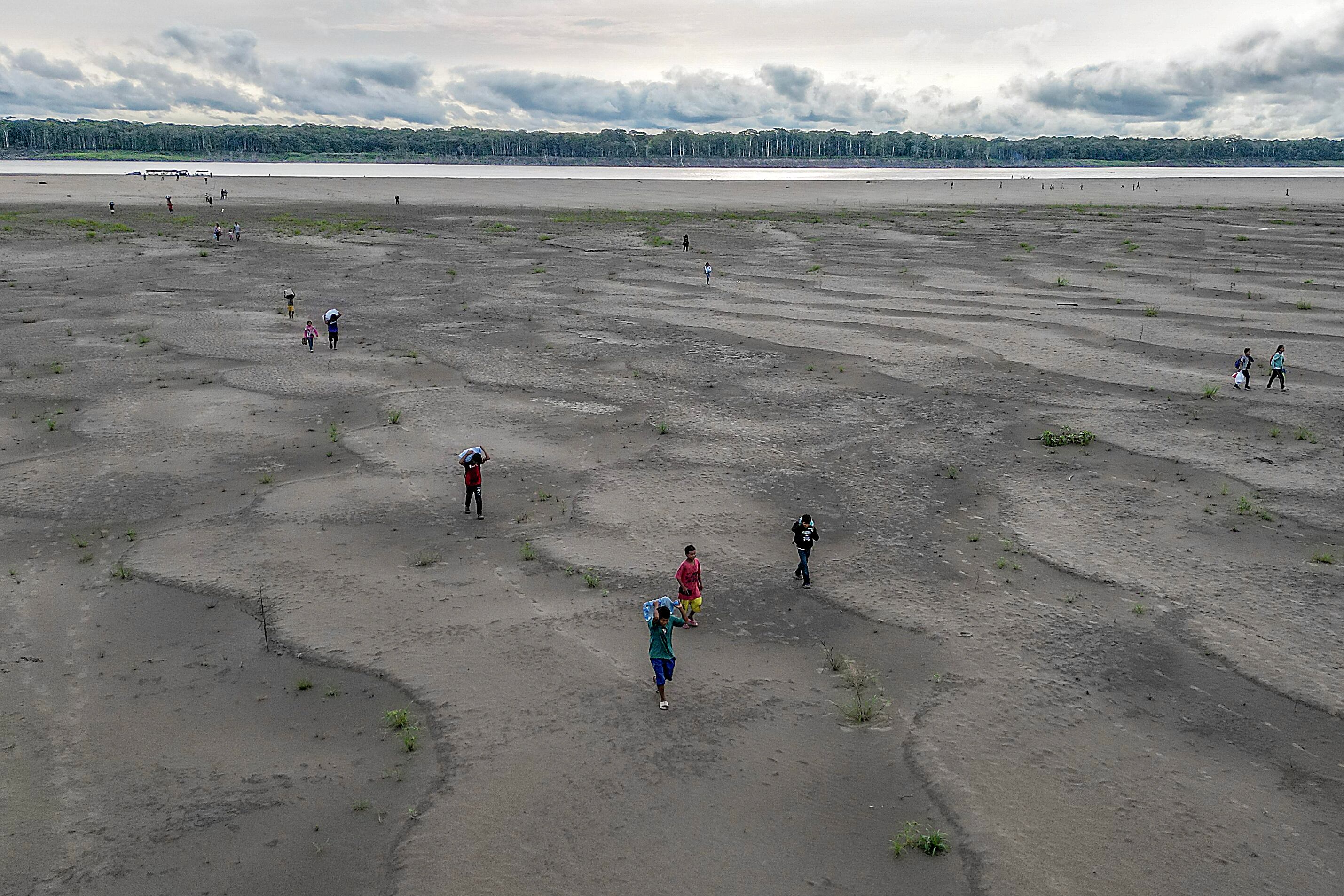 Países amazónicos impulsan alianza para cuidar la Amazonia ante ...