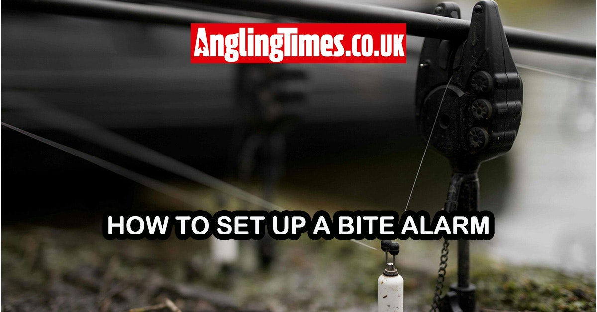 How to set up a bite alarm