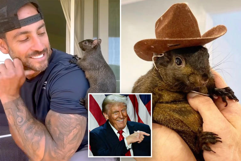 P’Nut’s owner believes squirrel’s death may have ‘played role’ in Trump ... P’Nut’s owner believes squirrel’s death may have ‘played role’ in Trump ...