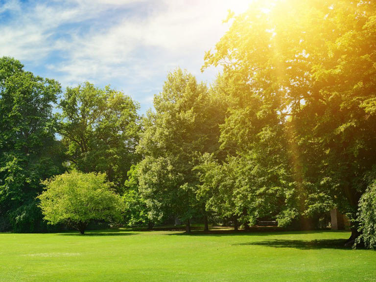 45+ Awesome Things to Do in Asheville NC With Kids