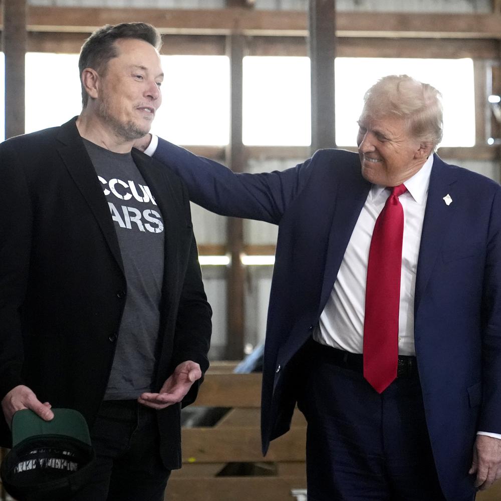 „Selenskyj wird vom ukrainischen Volk verachtet“: Musk stellt sich ...