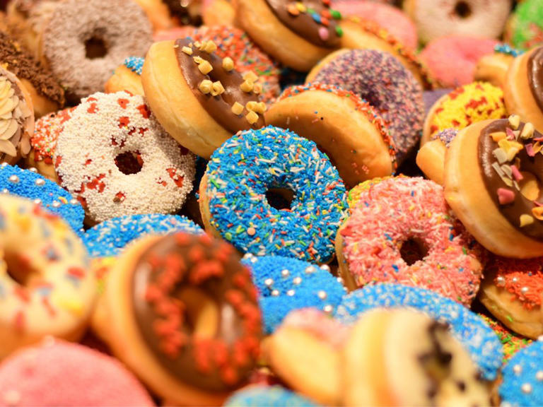 45+ Awesome Things to Do in Asheville NC With Kids