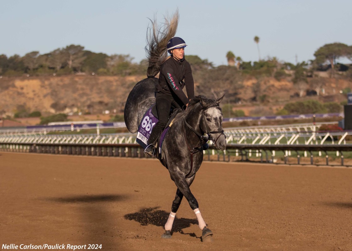 Post Time Named Top Midlantic-Bred Of 2024