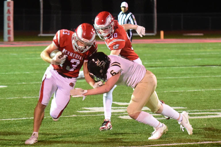 Four YAIAA players named to Pa. Football News Class 3A, 5A Coaches All-State Teams