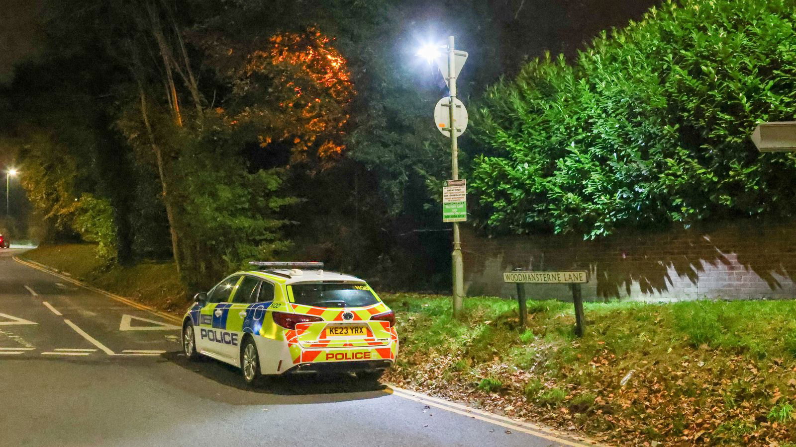 Child dies after being hit by falling tree branch Child dies after being hit by falling tree branch
