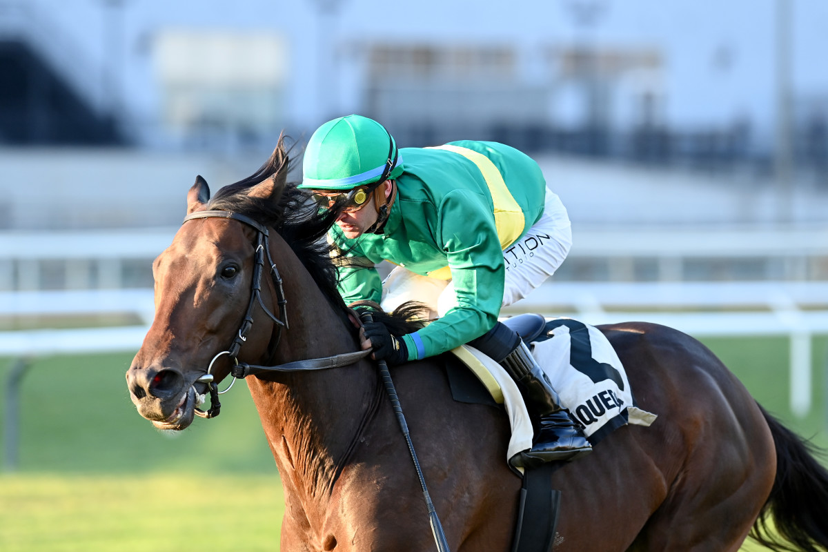 Equibase Analysis: Can Invading Cairo Upset Integration In Arlington ...