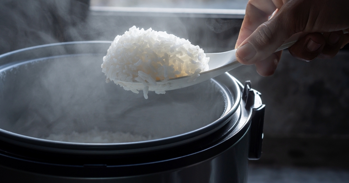 Swedish Scientists Develop Climate-Friendly Rice