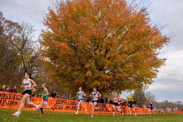 2025 IHSA cross country state finals in Peoria: Schedule, map, parking ...