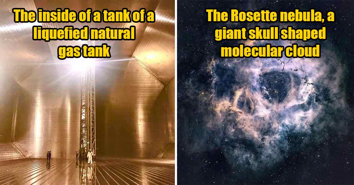 30 Fascinating Photos To Boost Your Brain Power