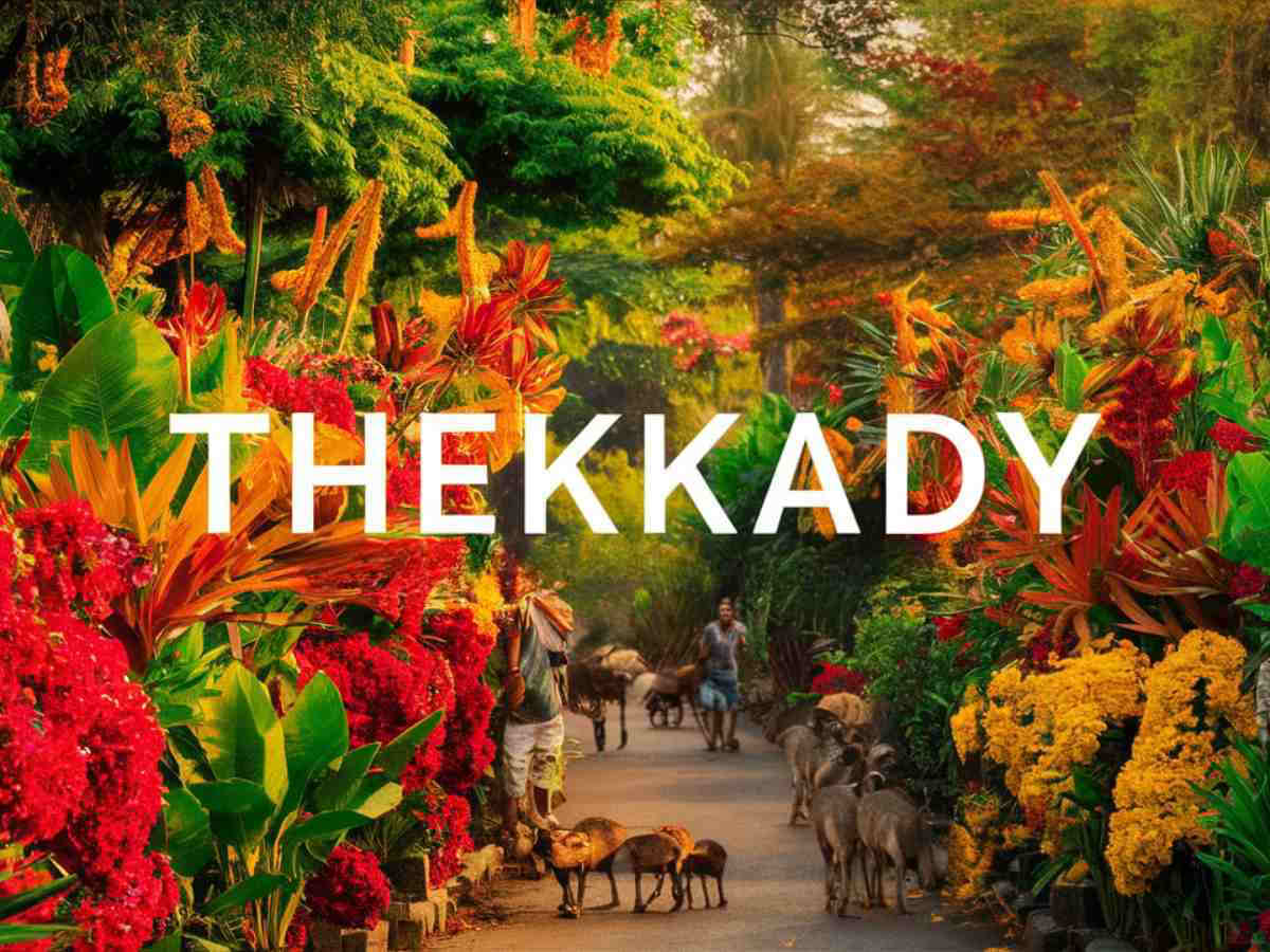 Thekaddy Awaits: First-Timer's Essential Tips For An Unforgettable Visit Thekaddy Awaits: First-Timer's Essential Tips For An Unforgettable Visit
