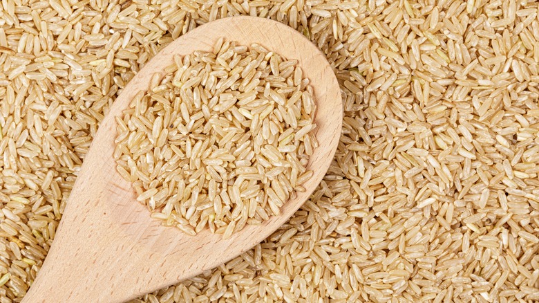 15 Types Of Rice, Explained