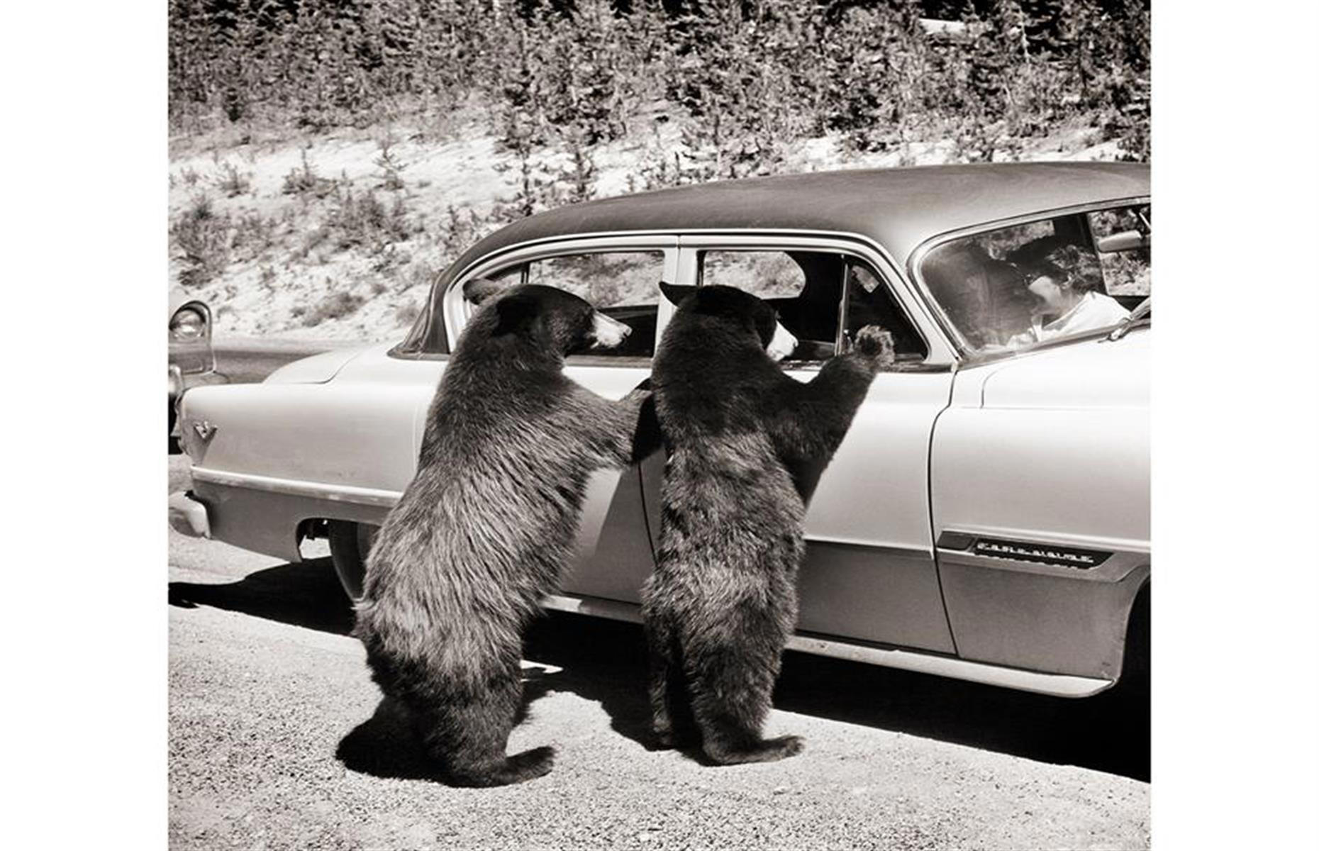 Yellowstone's History Told Through Stunning Archive Photos Yellowstone's History Told Through Stunning Archive Photos