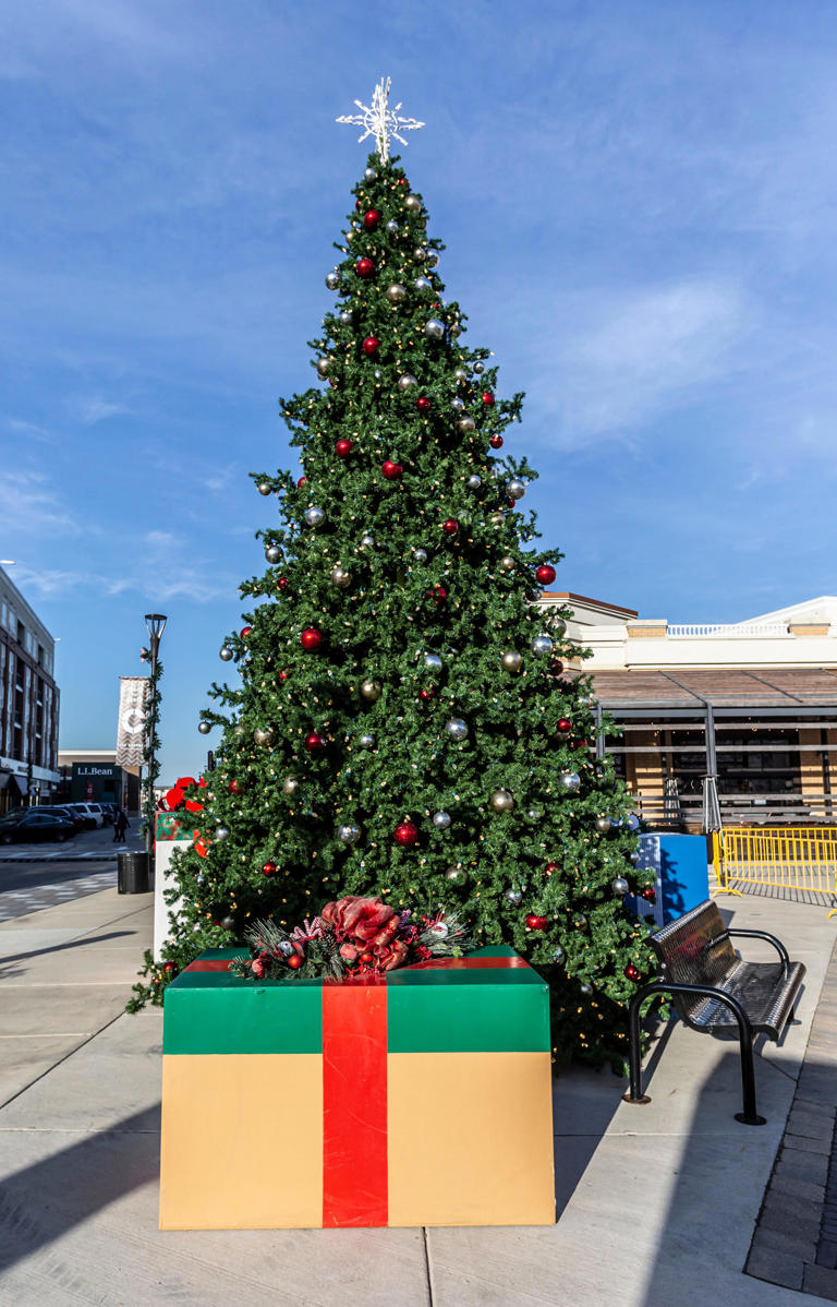 Santa, hot cocoa and more: Milwaukee area tree lighting events to start ...