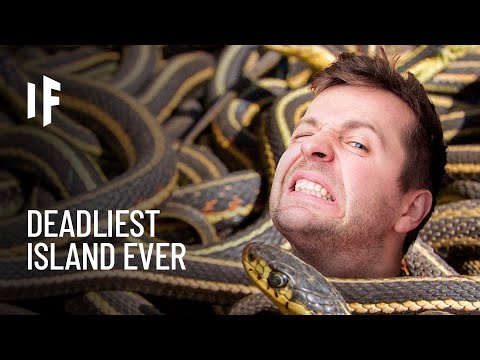 Suppose you spent an entire month surviving on Snake Island