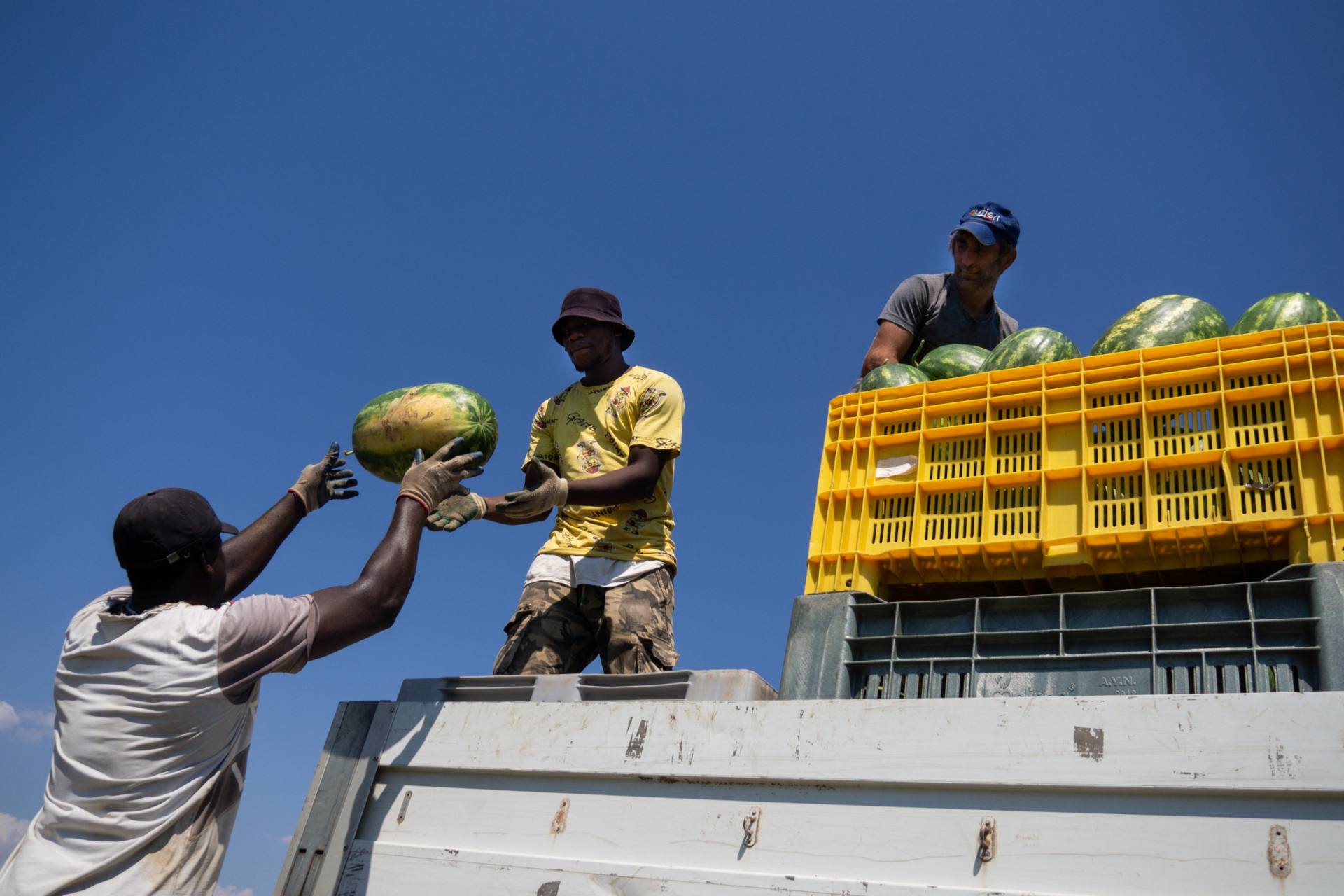 The exploitation of migrant agricultural workers in Europe