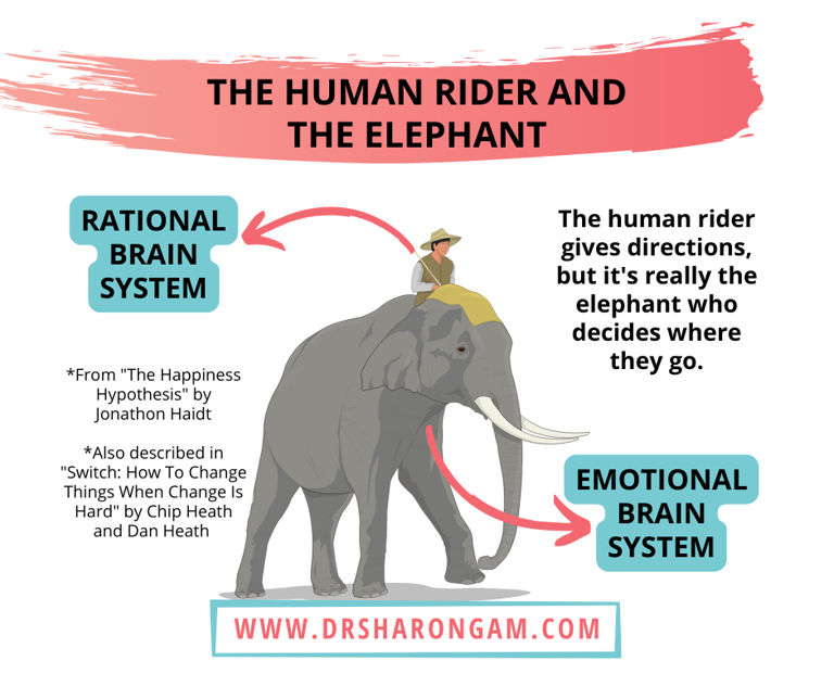 How to get started with behavior change