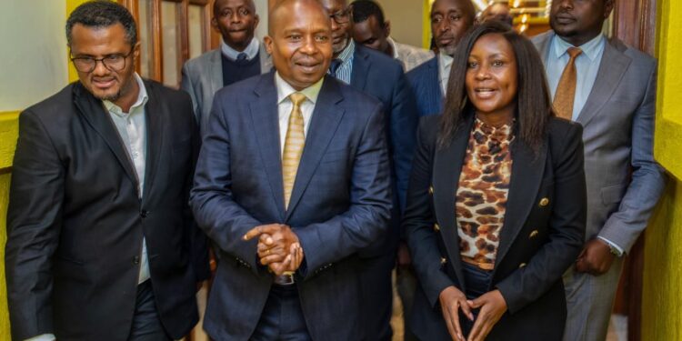 Cecily Mbarire Blasts 'Nairobi Officials' Over Political Meddling