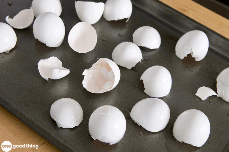 8 Surprising Uses For Eggshells