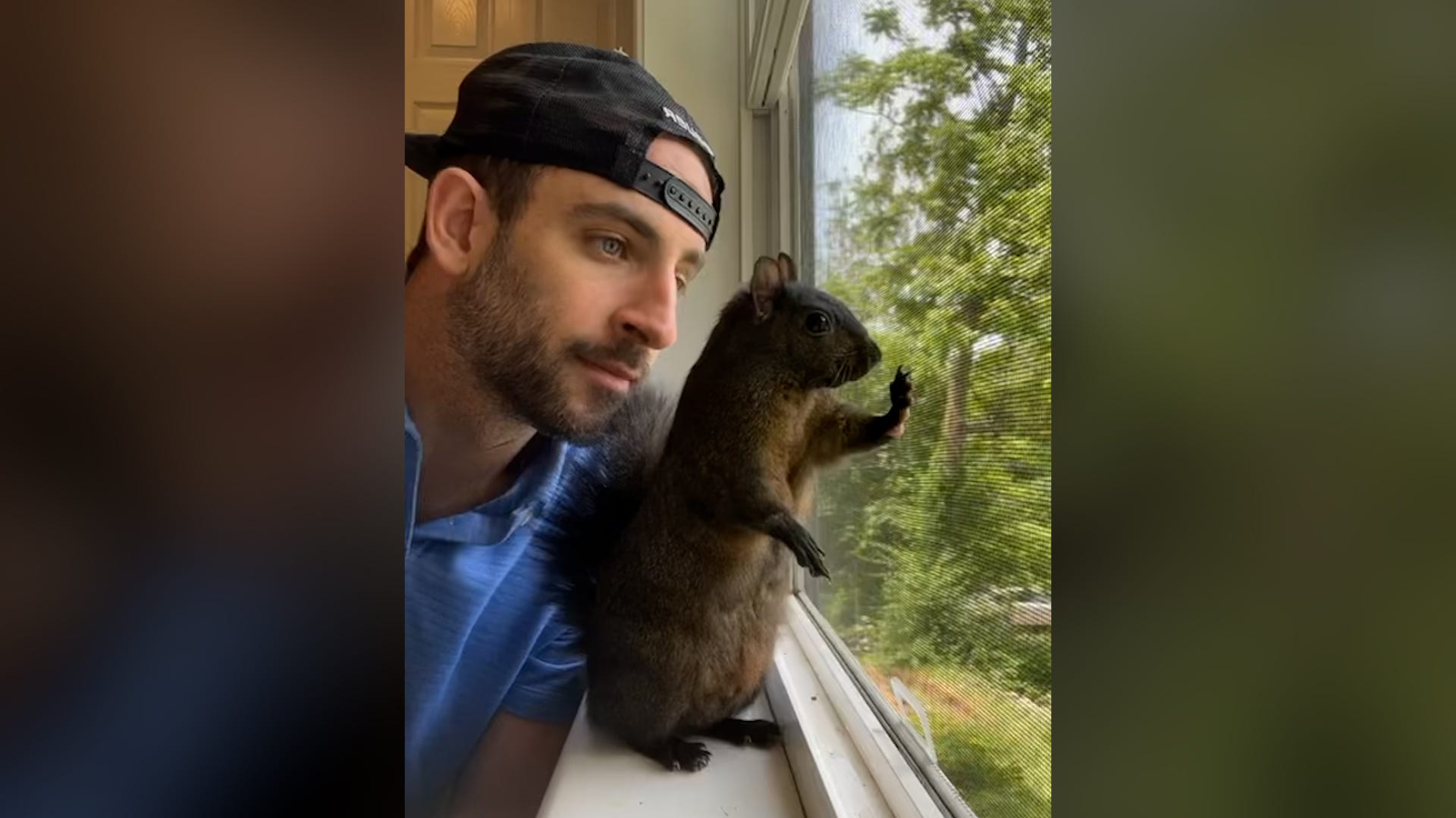 Euthanasia or execution? Lawsuit says Peanut the squirrel shouldn't be ...