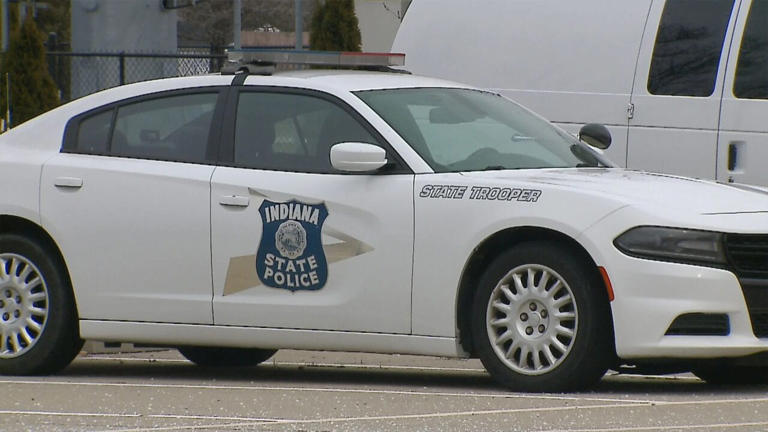 Hendricks County theft suspect in critical condition after fleeing police
