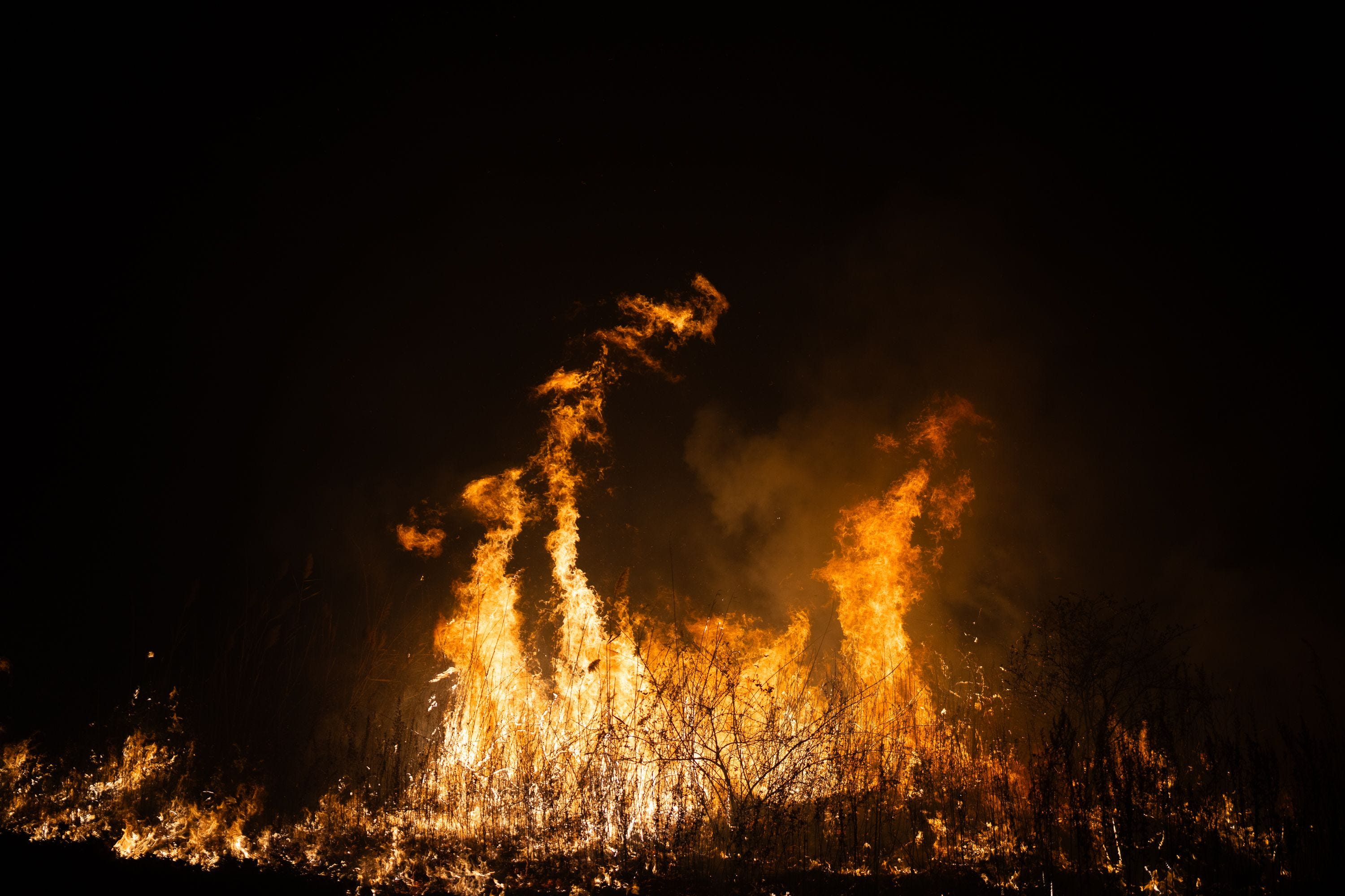 Is NJ at high risk of wildfires? Check the current fire danger using ...