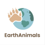 Earth Animals - MSN