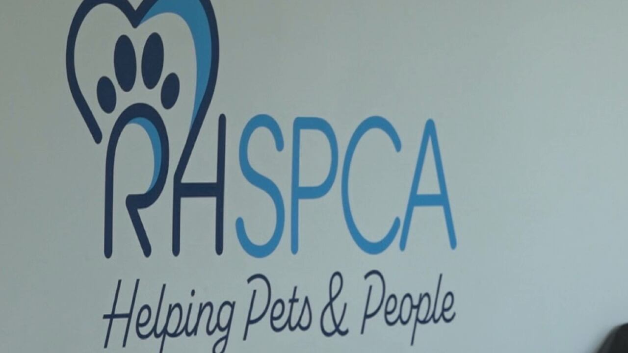 Rockingham-Harrisonburg SPCA Extends adoption special