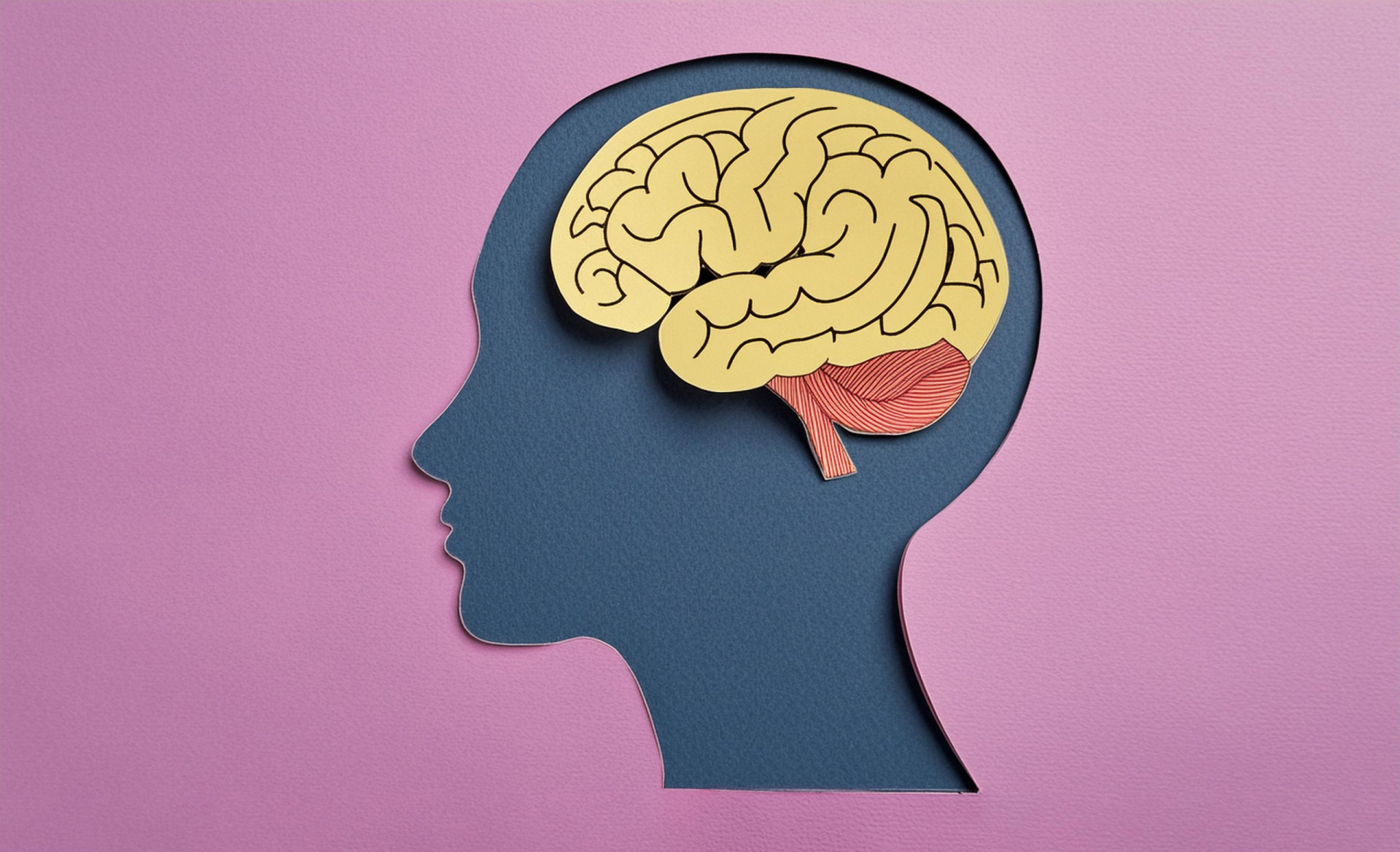 How much of our brains do we actually use?